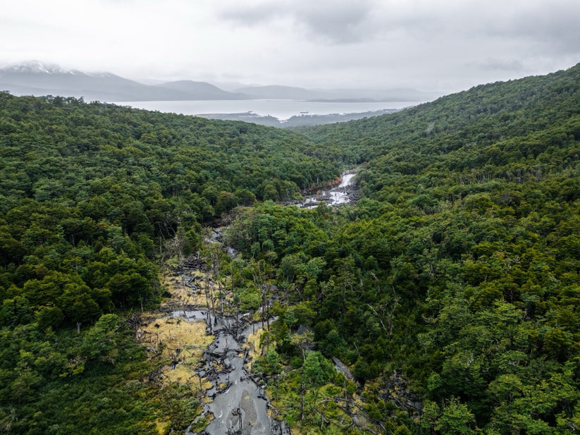 Guide Backpacking the Dientes de Navarino Trek – Harmen Hoek Store