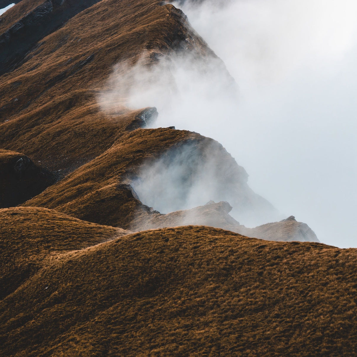 Guide Backpacking the Most Scenic Trails in New Zealand (7–14 Days ...